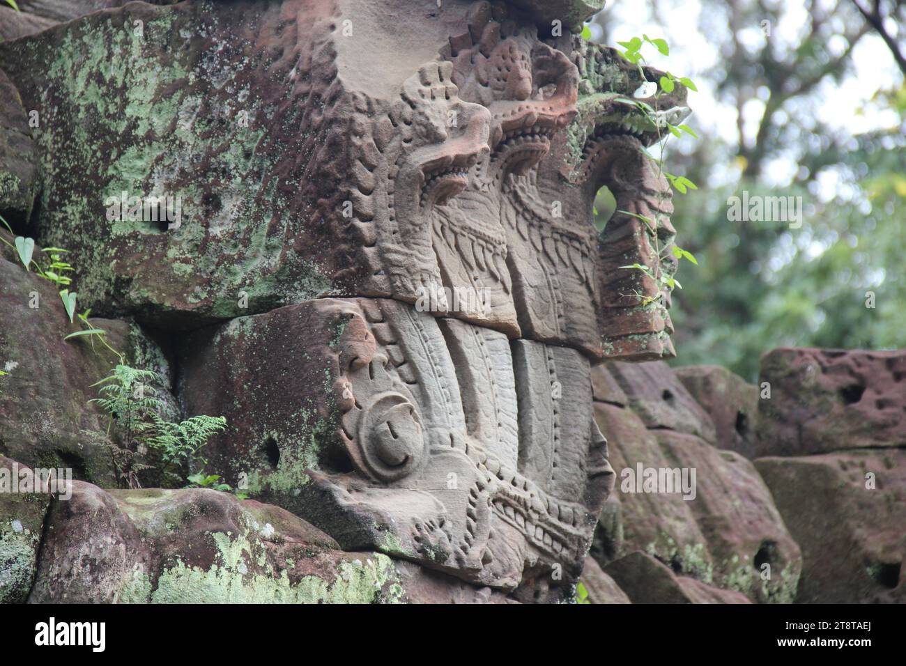 Ta Som, Khmer temple, ancient Angkor area, Cambodia. Reign of ...