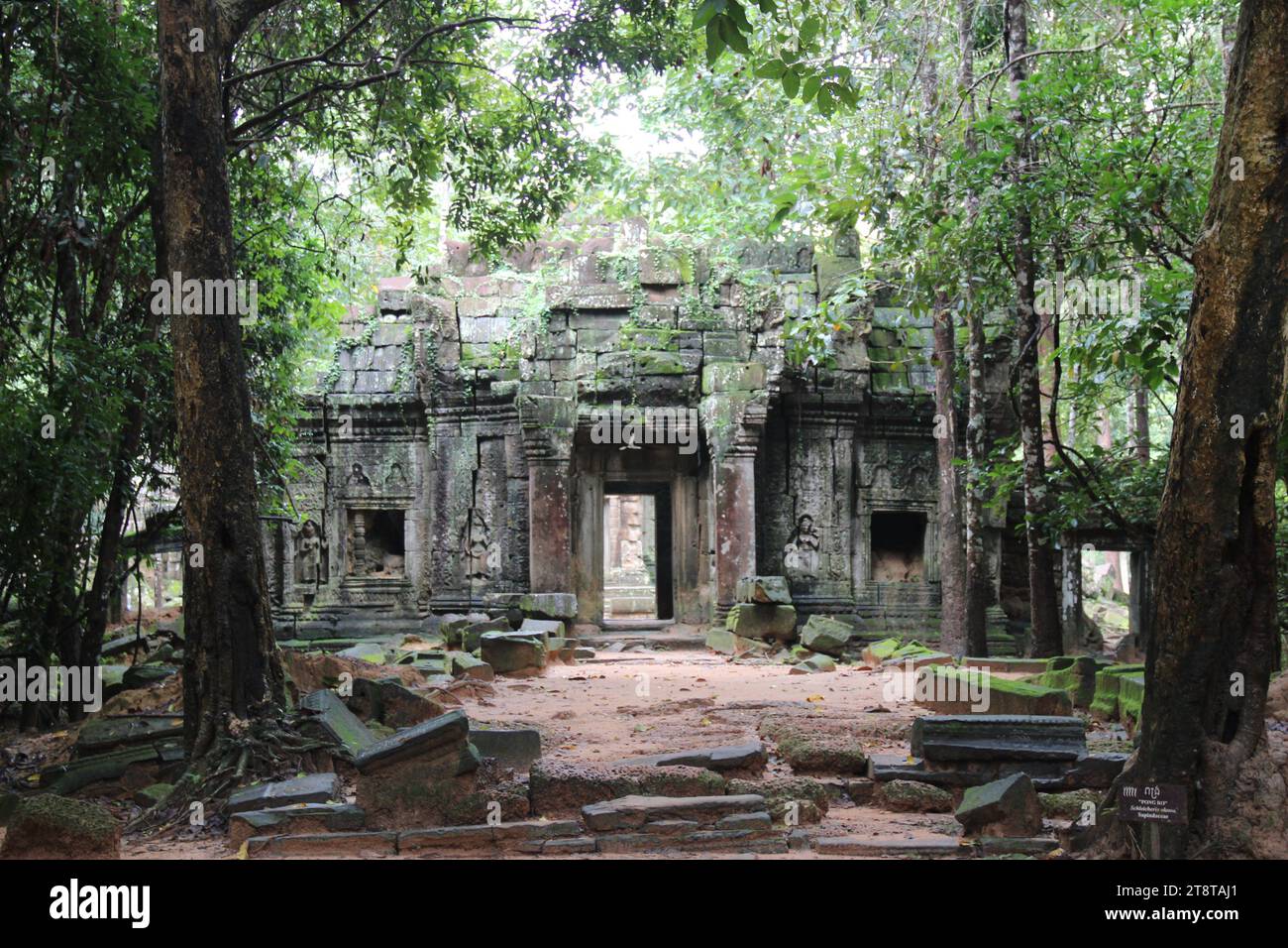 Ta Som, Khmer temple, ancient Angkor area, Cambodia. Reign of ...