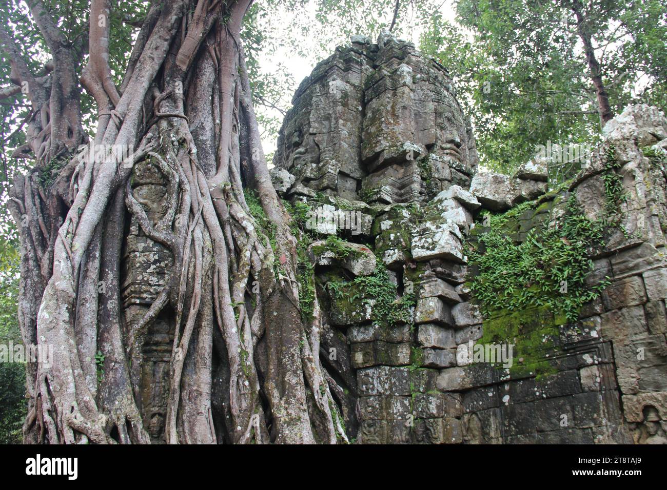 Ta Som, Khmer temple, ancient Angkor area, Cambodia. Reign of ...