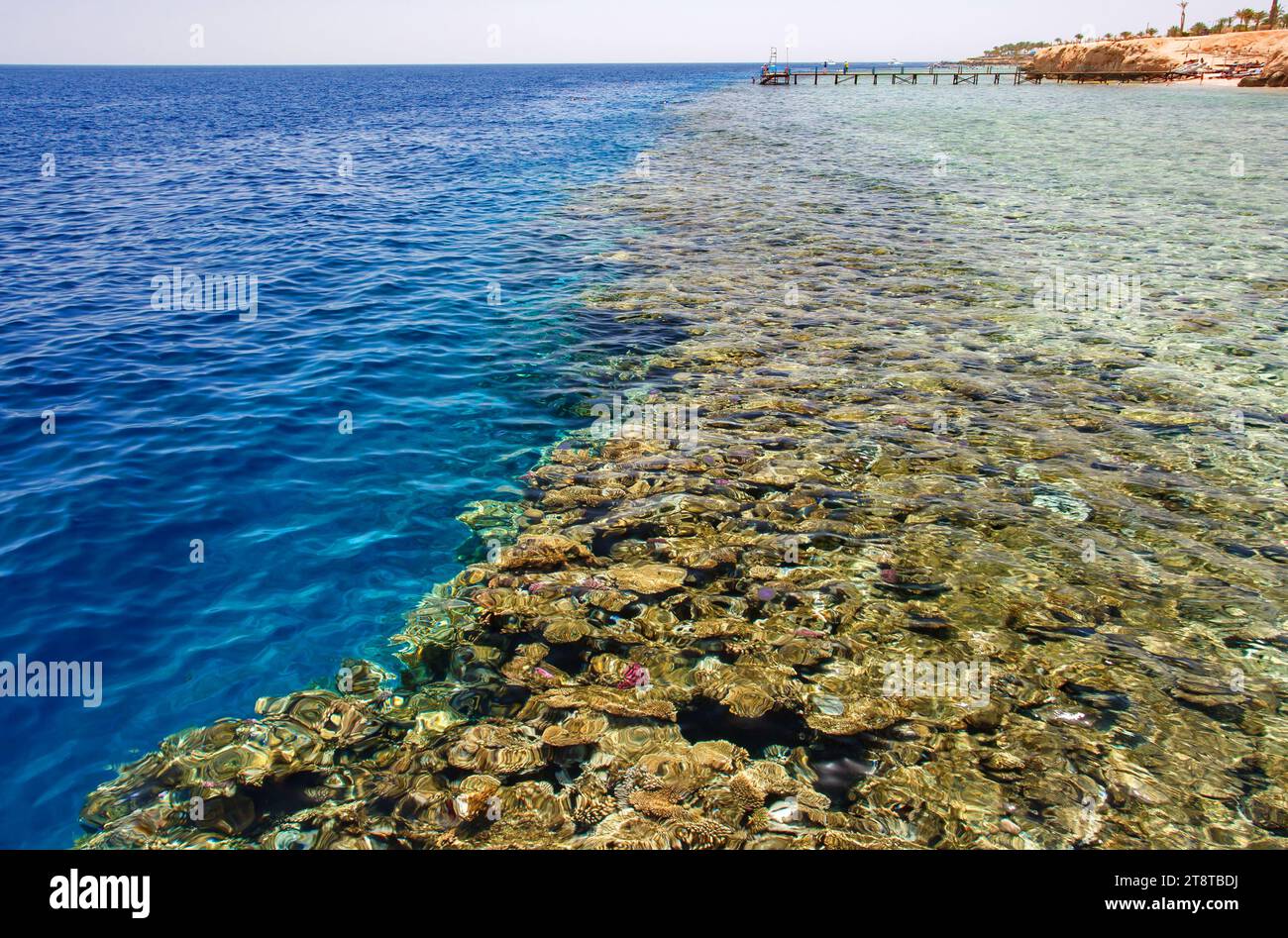 Sea, sea surface, coral reefs in blue transparent water Stock Photo - Alamy