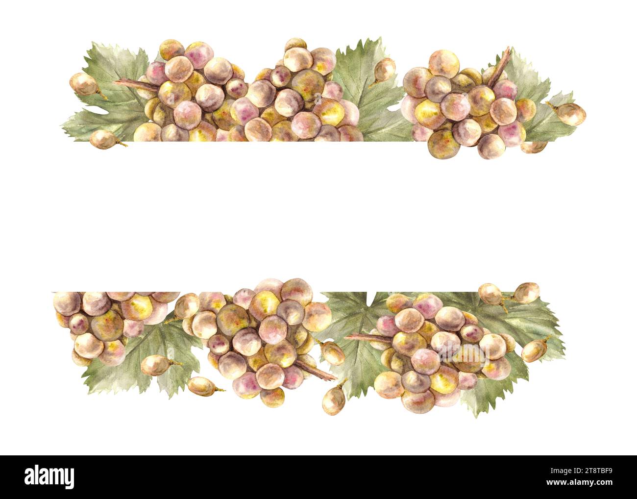 Watercolor rectangular frame, bunch of green grapes leaves and grape ...