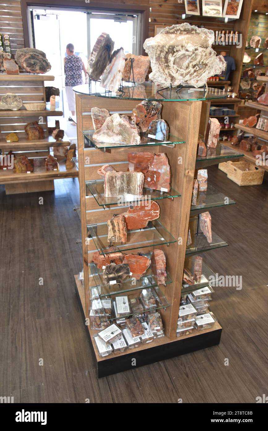 Petrified Forest National Park, AZ USA 10/17-18/2023. Petrified Forest ...