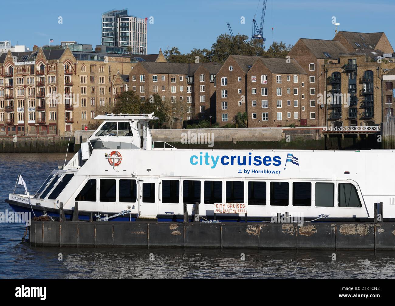 City Cruises by Hornblower cruise ship on the river Thames, London ...