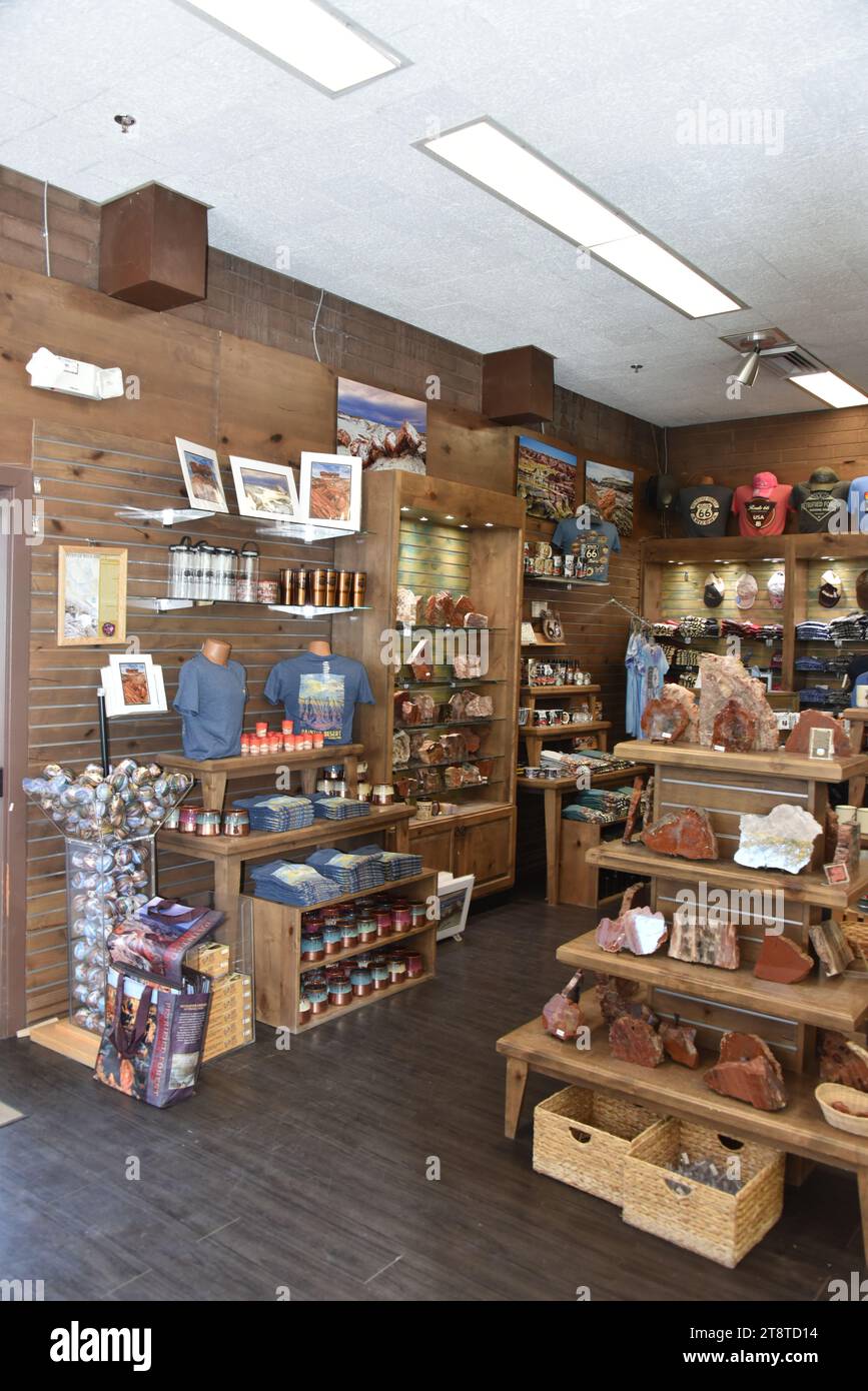 Petrified Forest National Park, AZ USA 10/17-18/2023. Petrified Forest ...