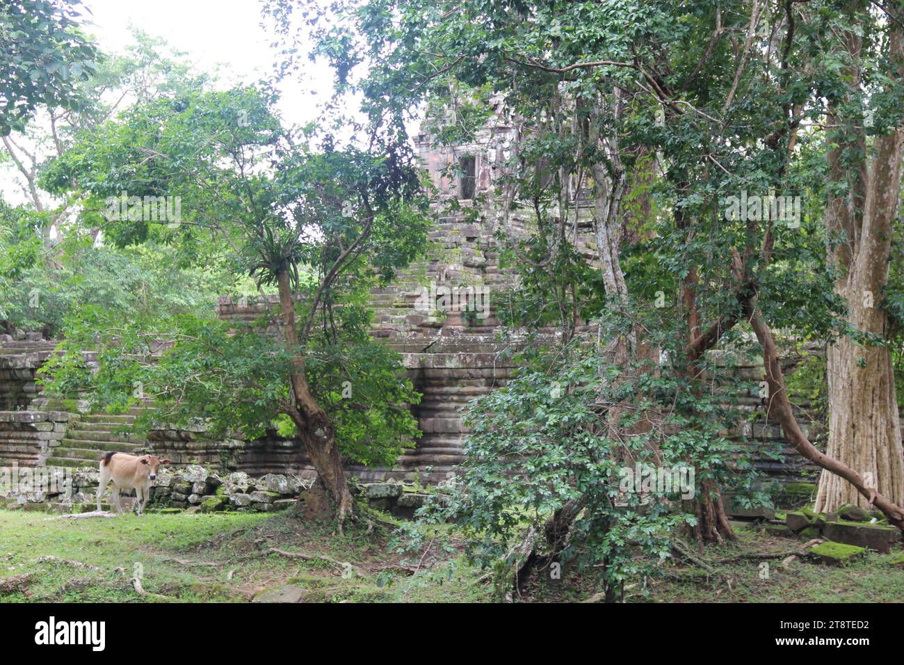 Preah Pithu, Angkor Thom, Ancient Khmer city near Angkor Wat, Siem Reap ...