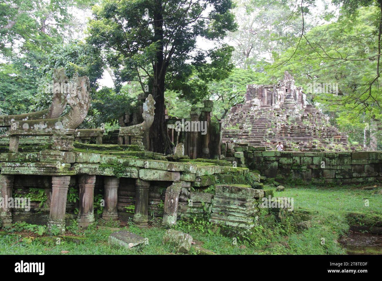 Preah Pithu, Temple 481 T, Angkor Thom, Ancient Khmer city near Angkor ...