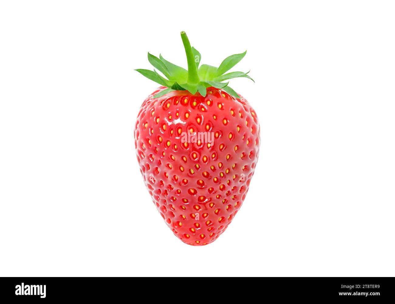 Strawberry, one berry, isolated on white background with clipping path ...