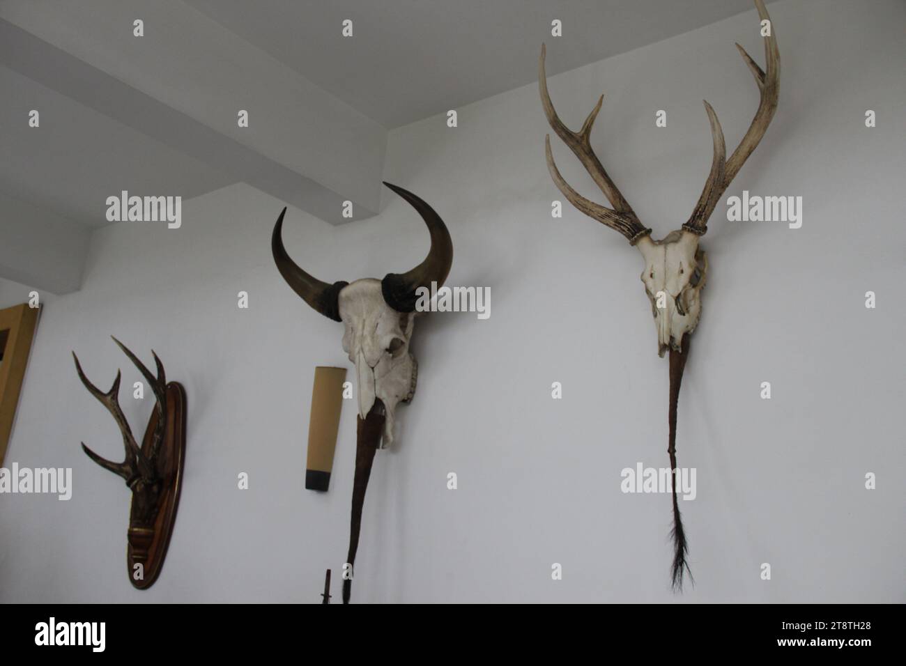 Independence Palace, Ho Chi Minh City/Saigon, VietnamOn April 30, 1975 ...