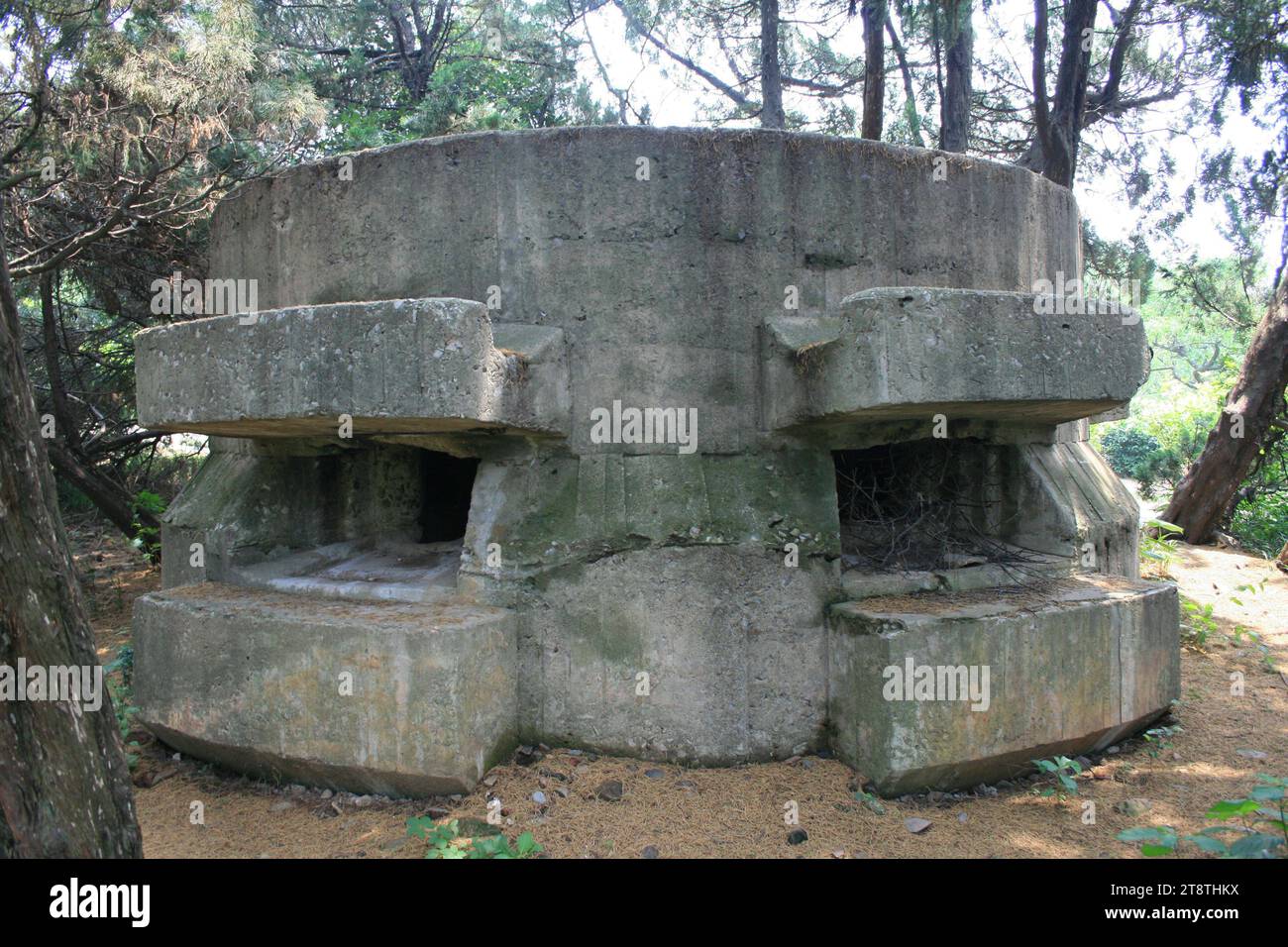 Plum Blossom Hill Gun Emplacement, Burial site of Ming Hongwu (Zhu ...