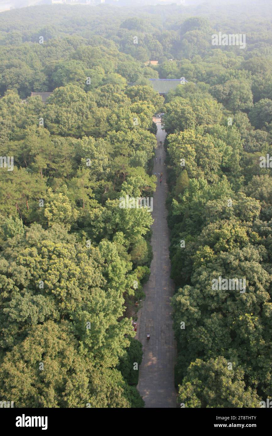 Zijin Shan, Nanjing, China: View From Linggu Pagoda, Burial site of ...