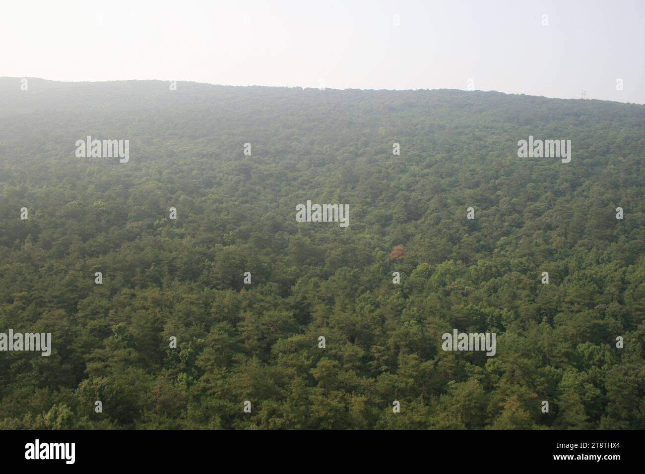 Zijin Shan, Nanjing, China: View From Linggu Pagoda, Burial site of ...