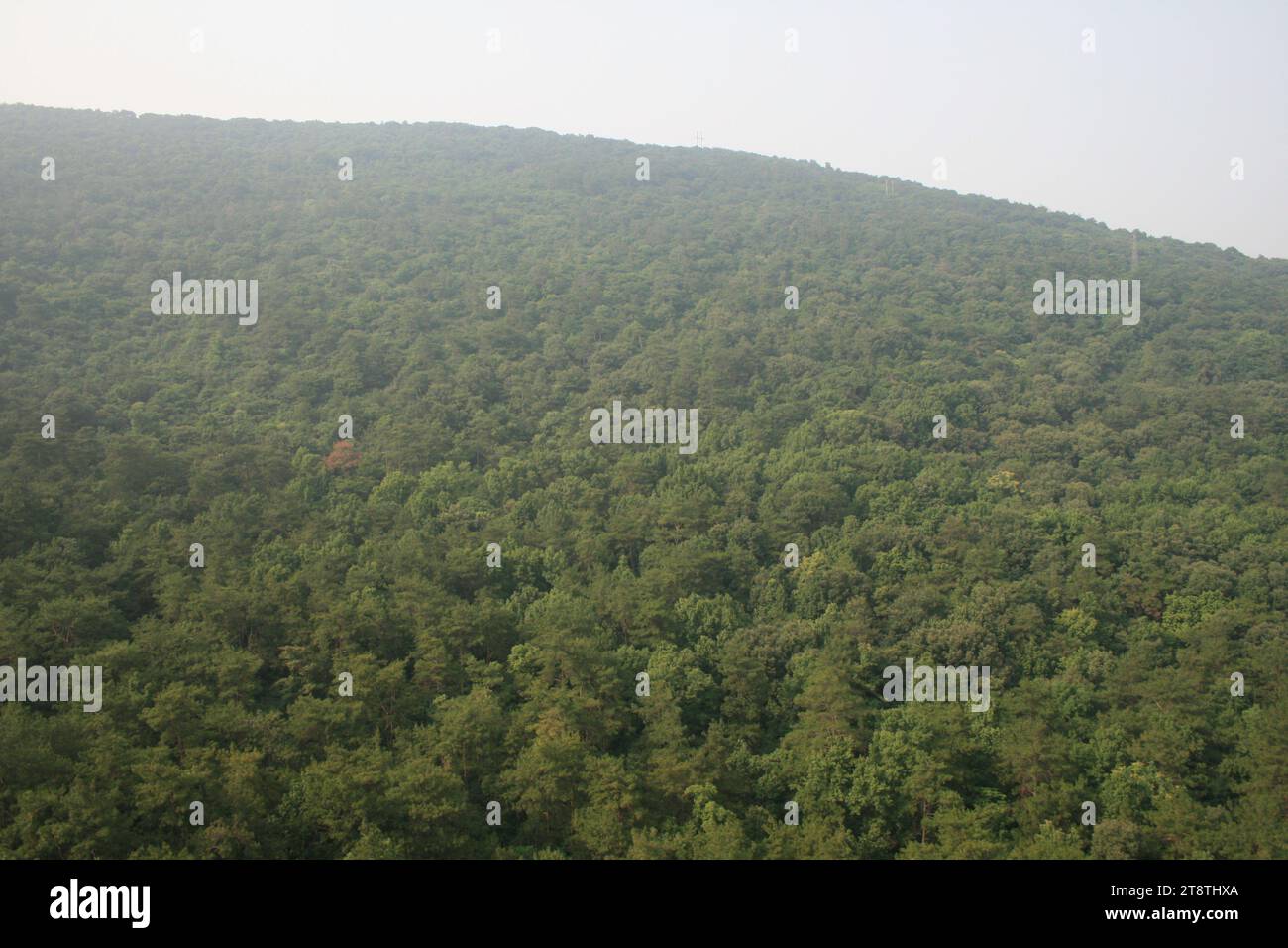 Zijin Shan, Nanjing, China: View From Linggu Pagoda, Burial site of ...