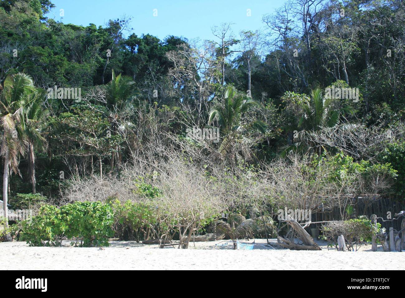 Boracay Island: Puka Shell Beach, Boracay, Visayas, Philippines Stock ...