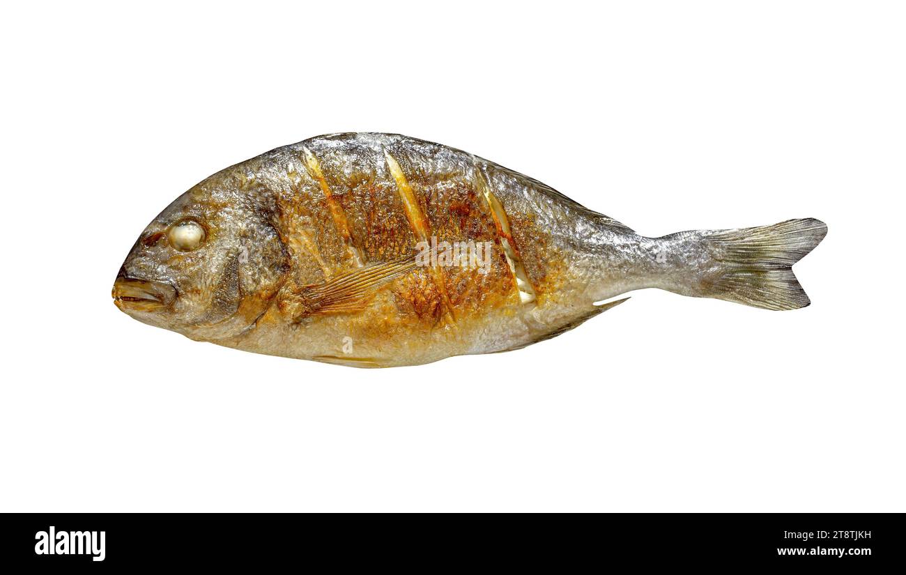 Dorado, cooked, grilled fish, source of omega 3, isolated on white ...