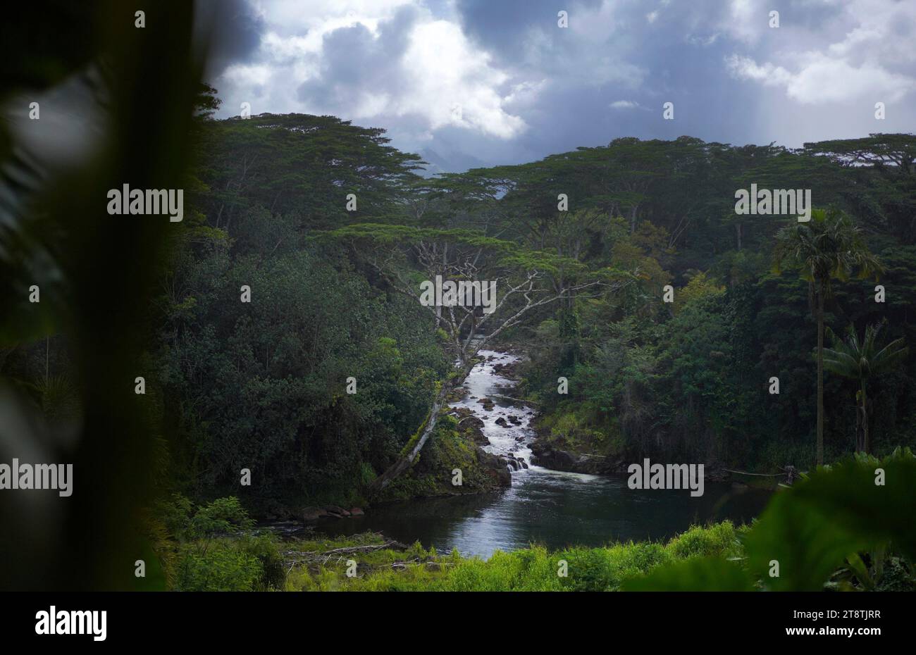 The Wailua river, which is sacred to many Native Hawaiians, flows ...