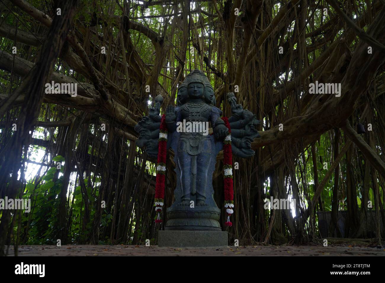 A statue of Lord Muruga, the Hindu god of war, son of Shiva and brother ...