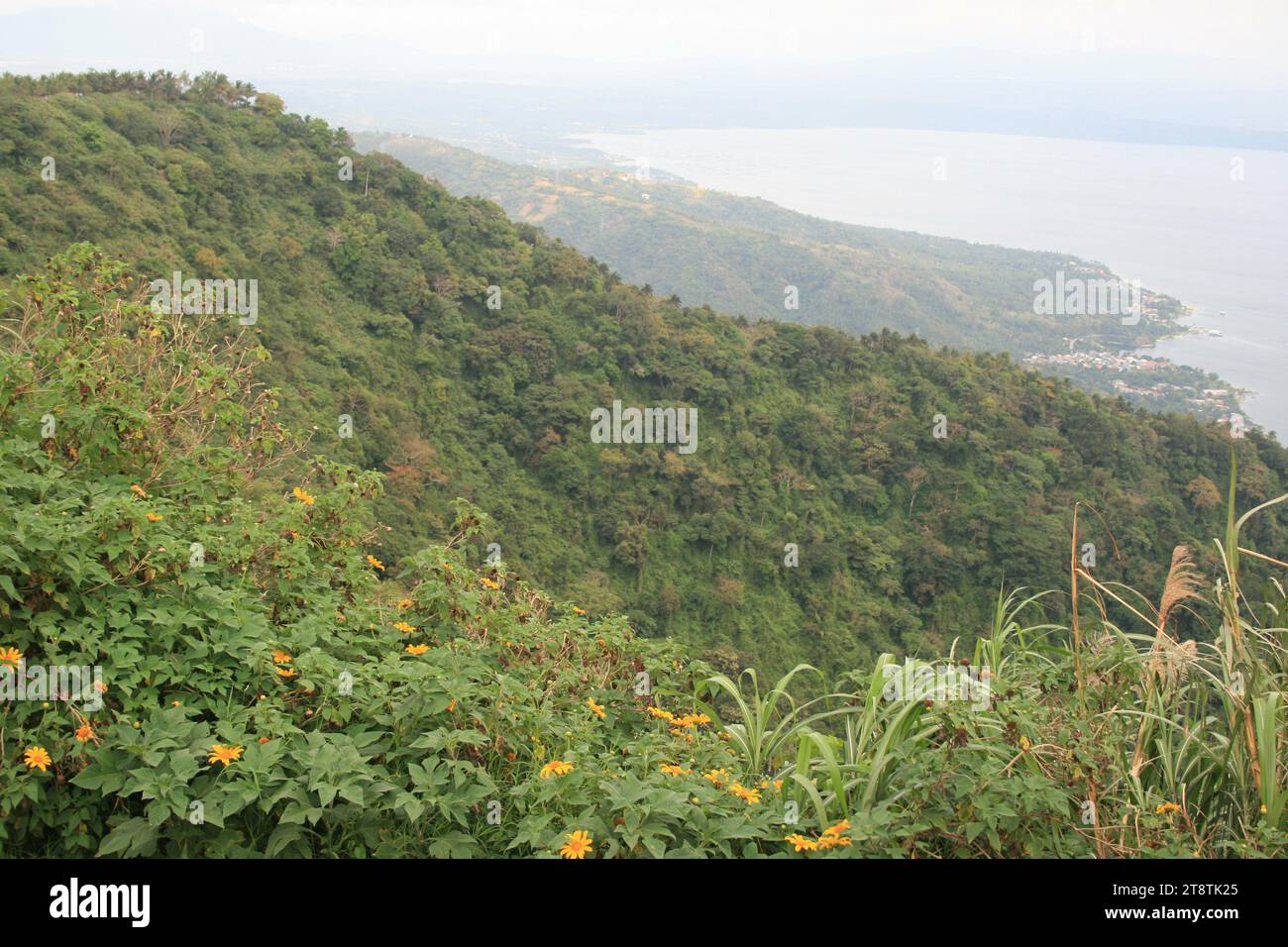 Luzon: Caldera Lake of Taal Volcano, Luzon, Philippines Stock Photo - Alamy