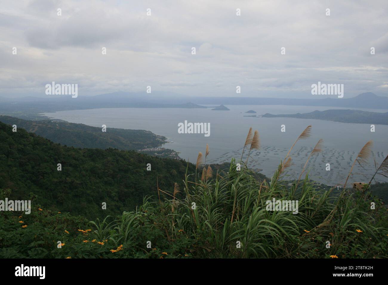Luzon: Caldera Lake of Taal Volcano, Luzon, Philippines Stock Photo - Alamy