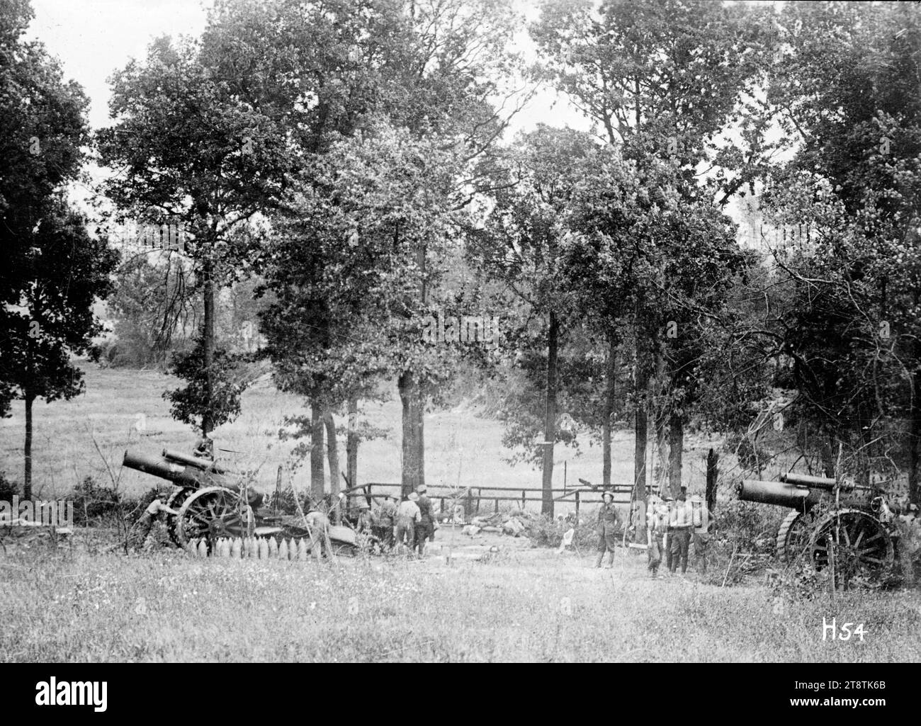 New Zealand guns in Ploegsteert Wood, Belgium, World War I, Two New ...