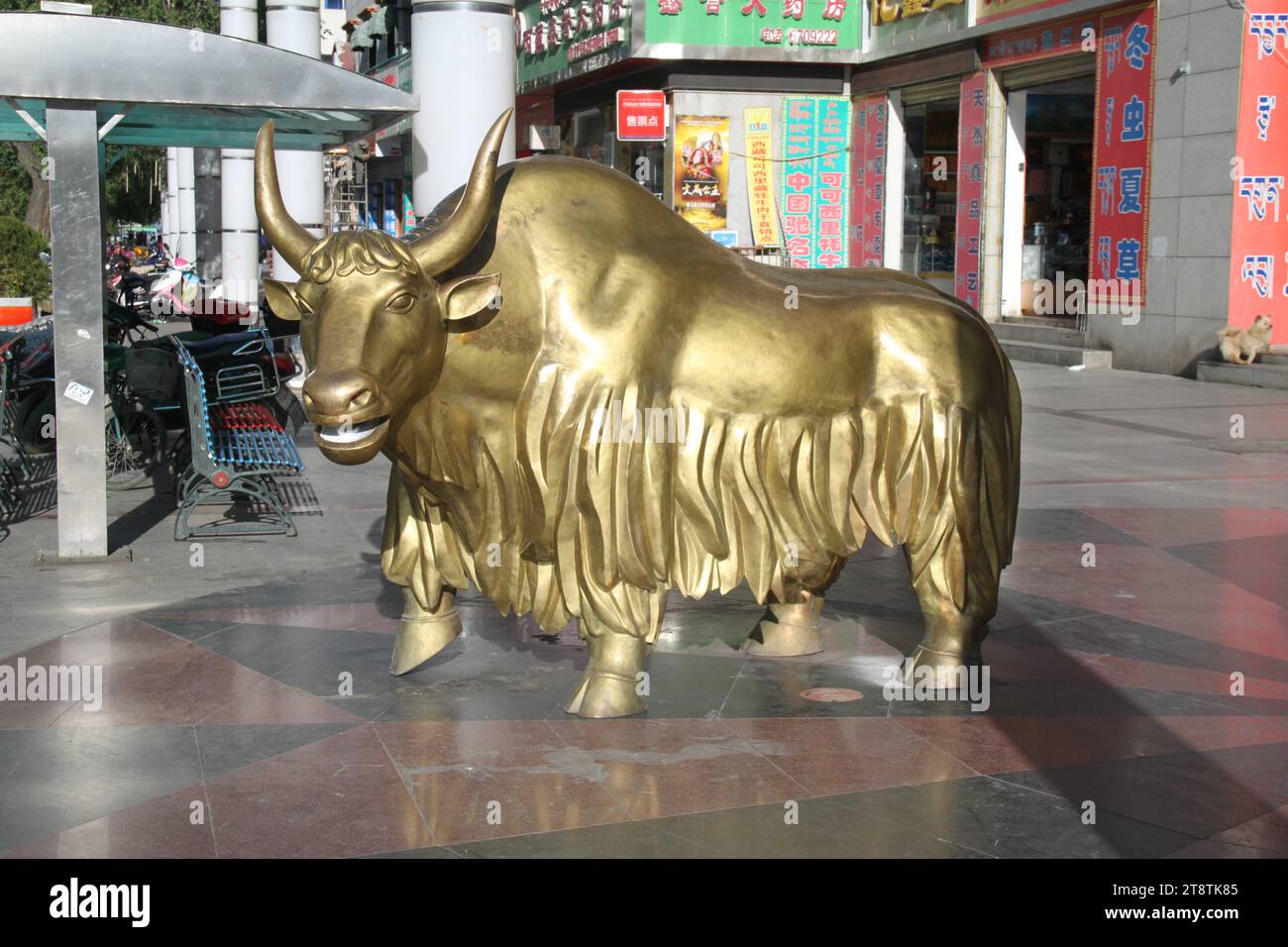 Bronze Yak, Lhasa, Xizang Tibet Stock Photo - Alamy