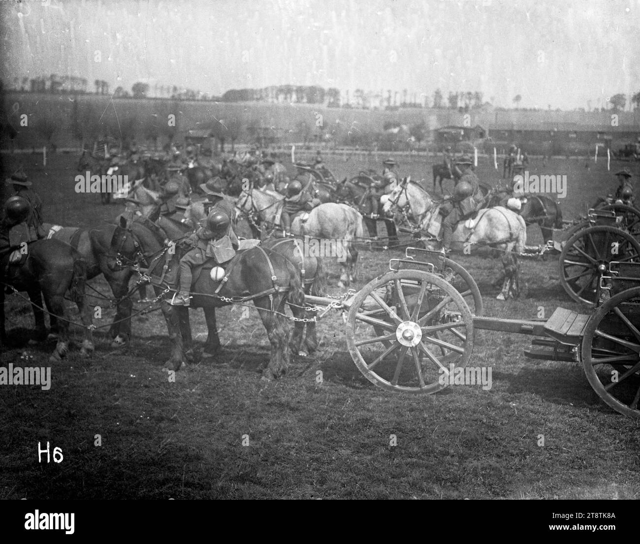 Judging horse teams at the New Zealand Division horse show, Judging ...