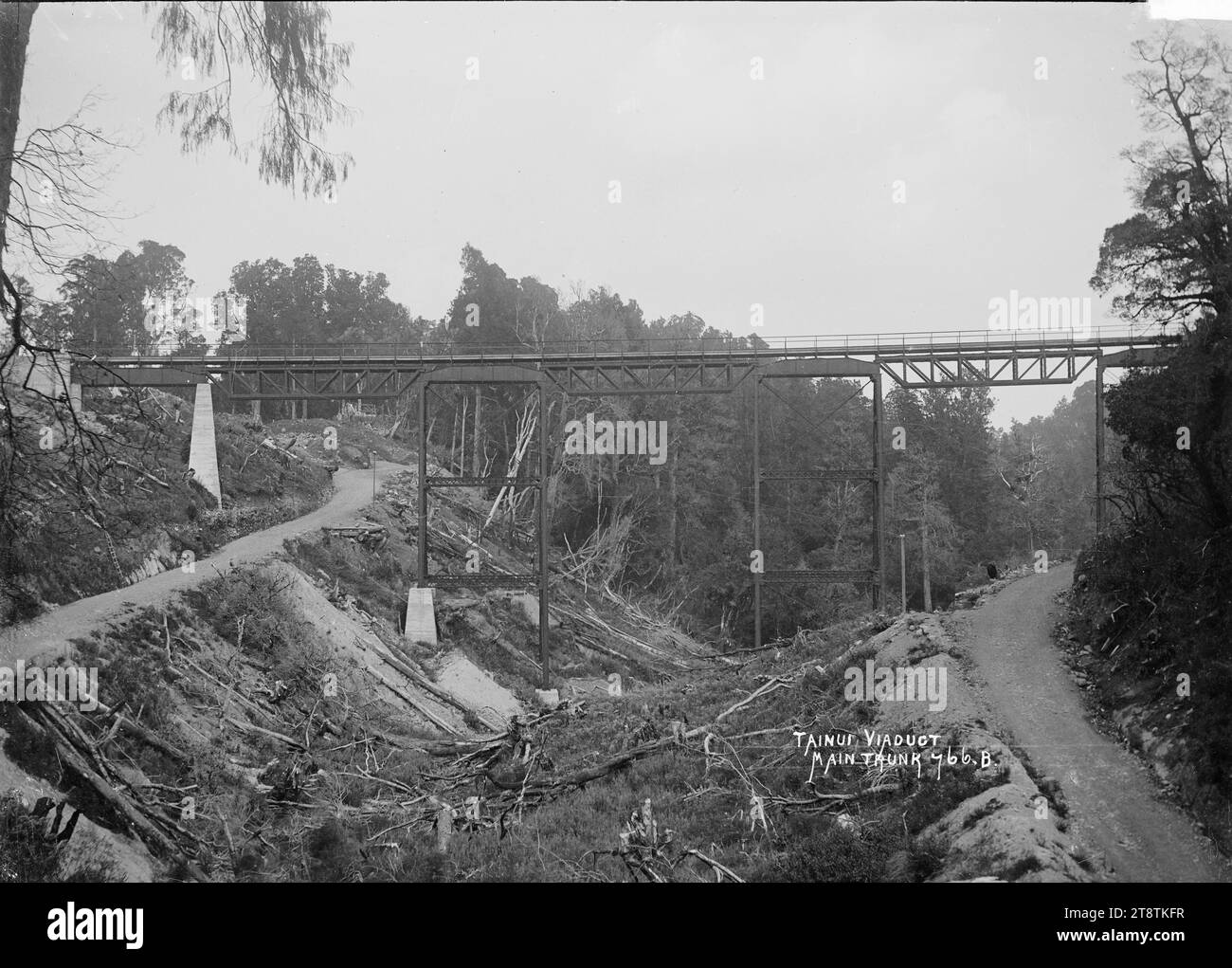 Taonui viaduct, Taonui viaduct, on the North Island Main Trunk Line in ...