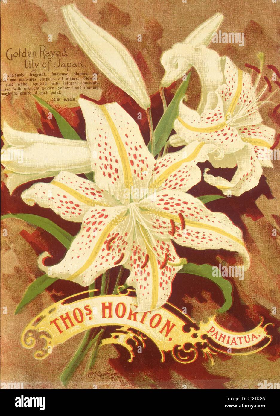 Thomas horton ltd hi-res stock photography and images - Alamy