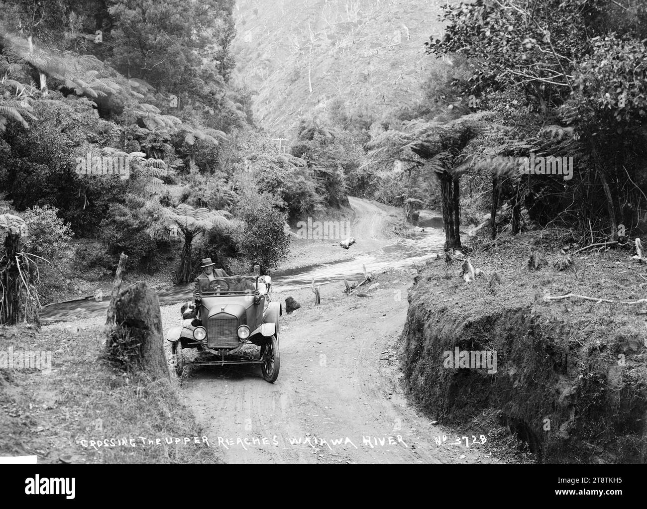 Crossing the upper reaches of the Waiaua River, Bay of Plenty, View of ...