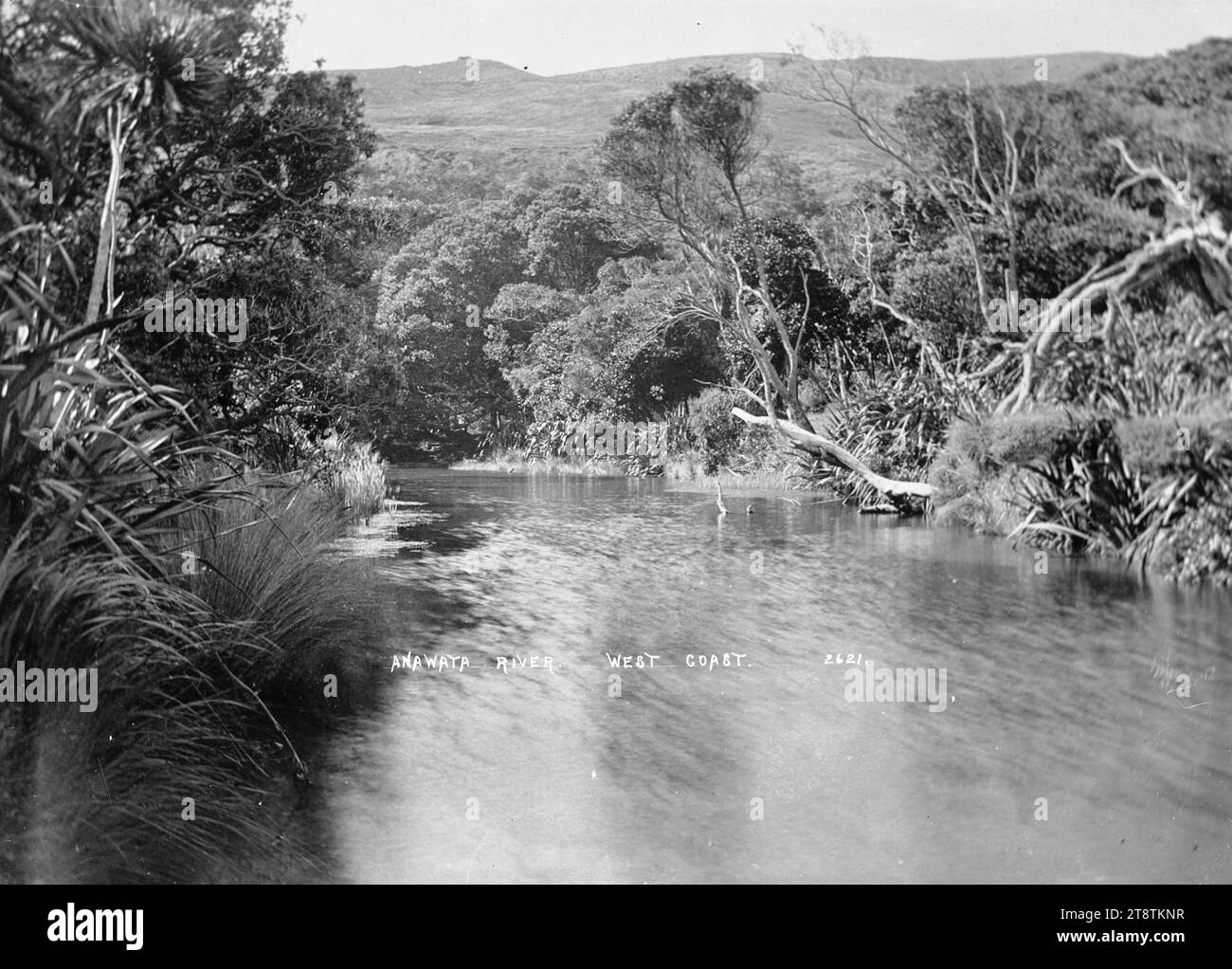 Anawhata River and native bush, Anawhata River and native bush. between ...