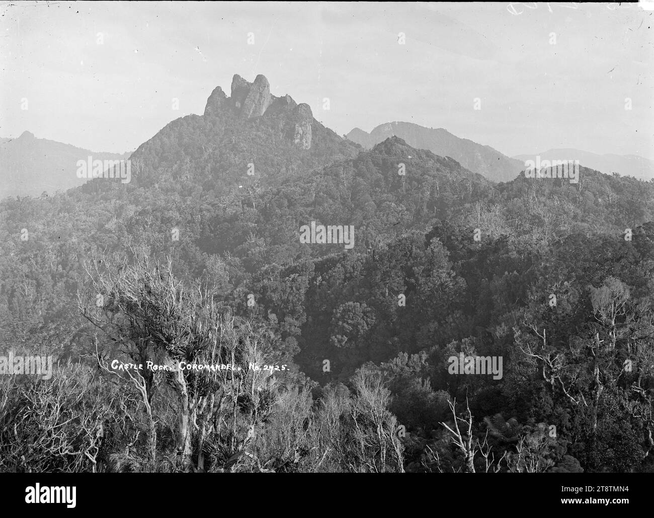 Bush clad hills in Coromandel, including Castle Rock, Overlooking bush ...
