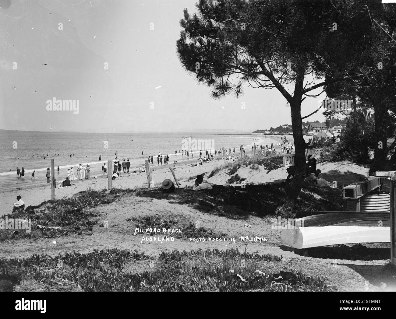 Milford Beach, Auckland, New Zealand, View of Milford Beach taken from ...
