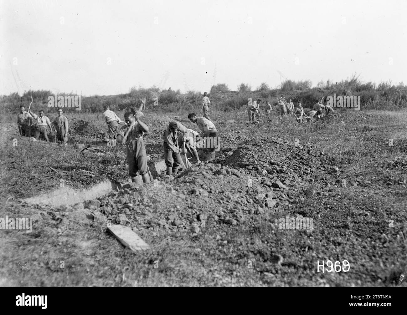 New Zealand Pioneers digging new trenches near Bapaume, France, Members ...