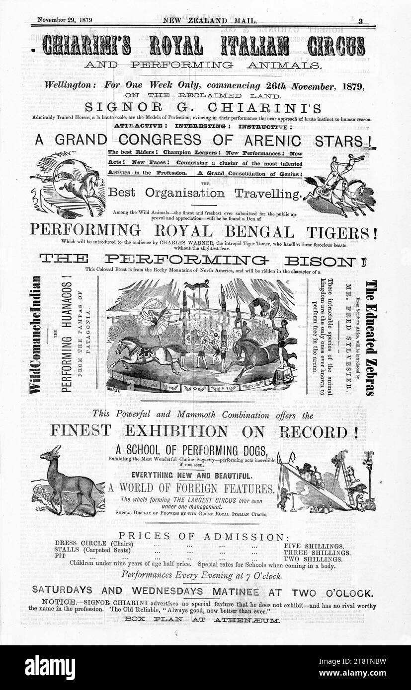 Chiarini's Royal Italian Circus and Performing Animals. Wellington, New ...