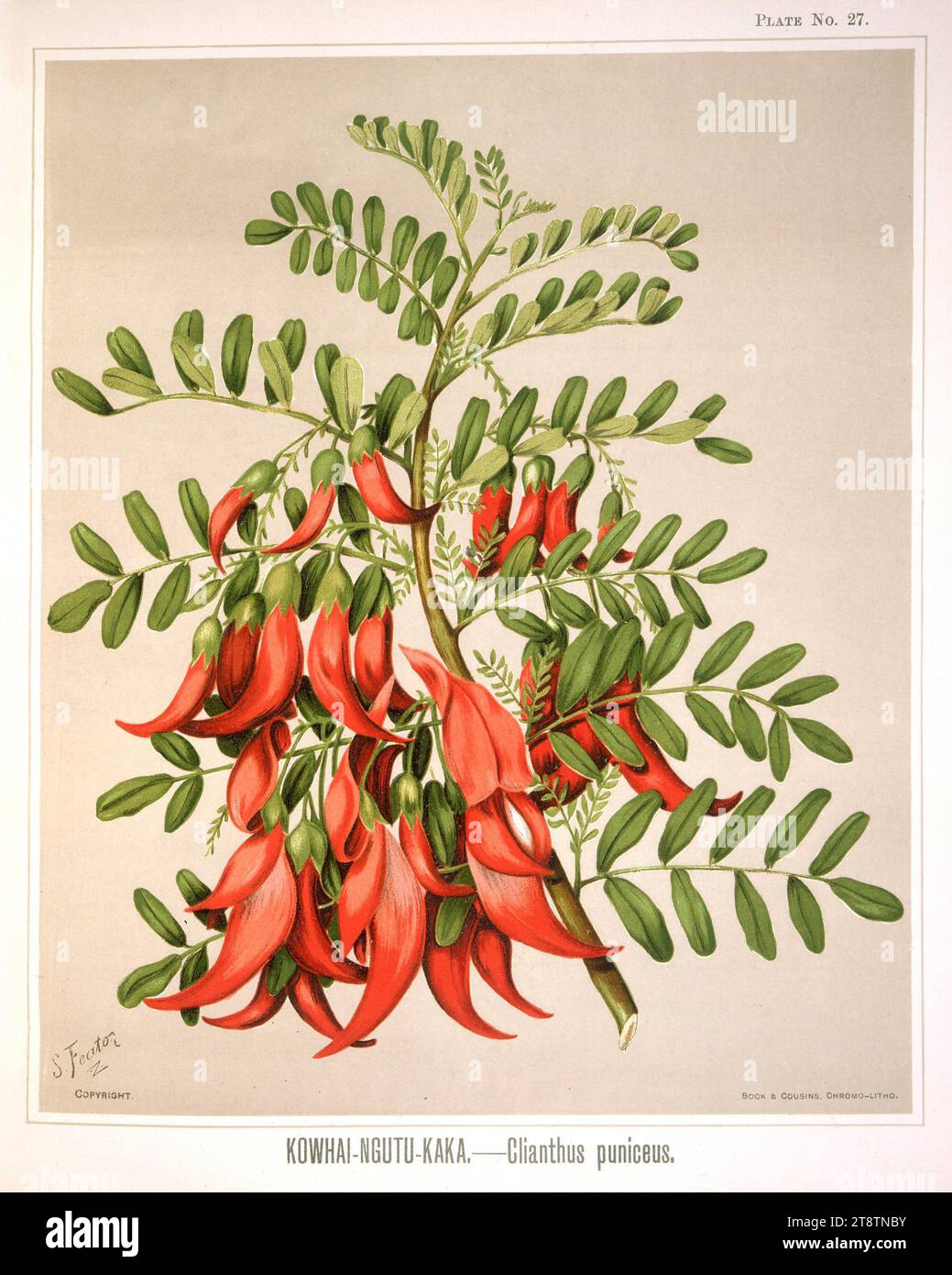 Sarah bock hi-res stock photography and images - Alamy