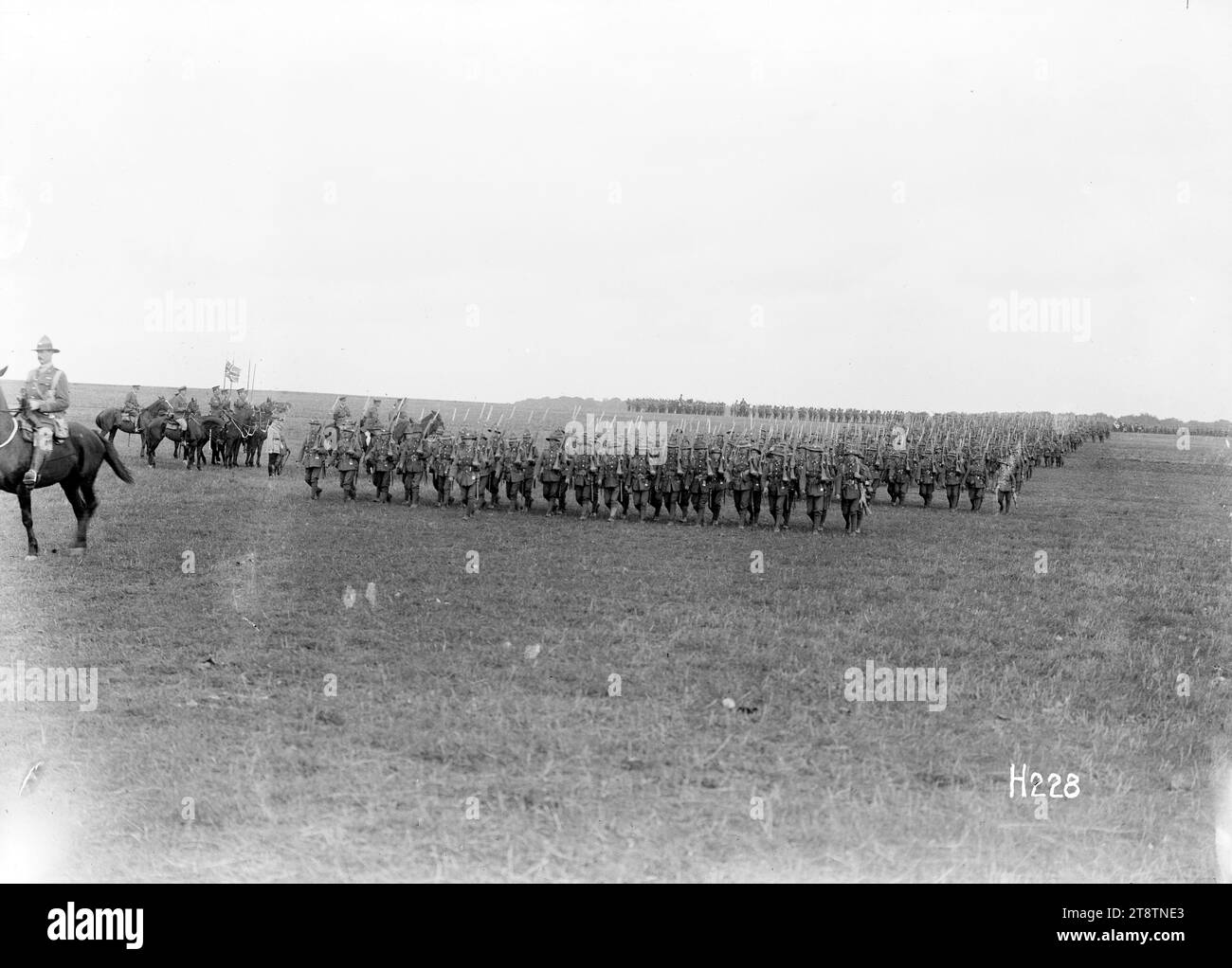 The British Commander in Chief reviewing New Zealand troops, The ...