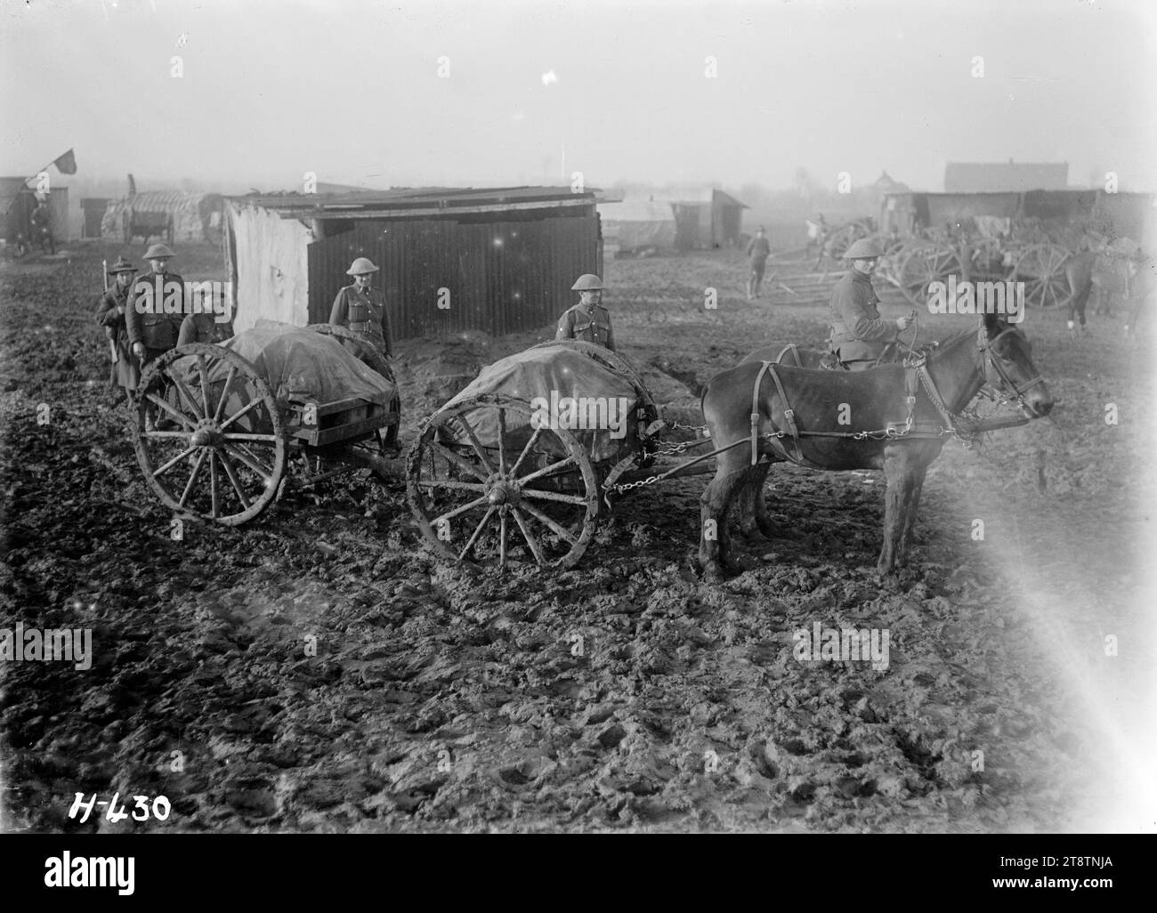 Rations on their way to the trenches, Dickebusch, World War I, Mule ...