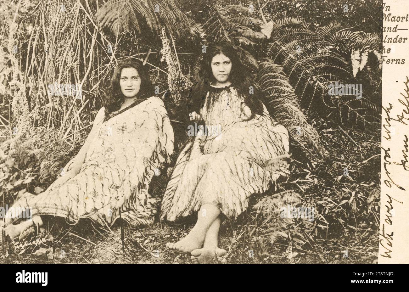Postcard. In Maoriland - Under the ferns. Post card - carte postale ...