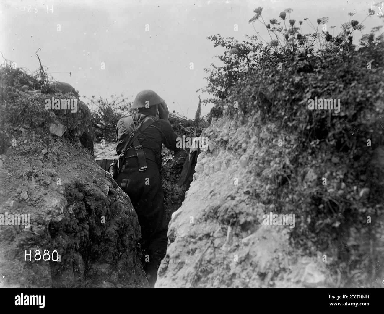 Observing the enemy lines from a front line post, Gommecourt Wood ...