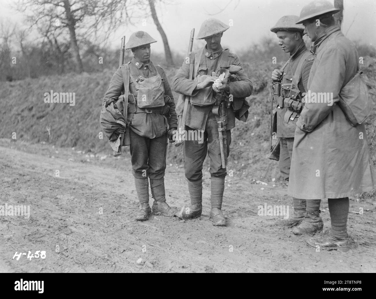 New Zealand soldiers during World War I, with a wounded dove, at Mailly ...
