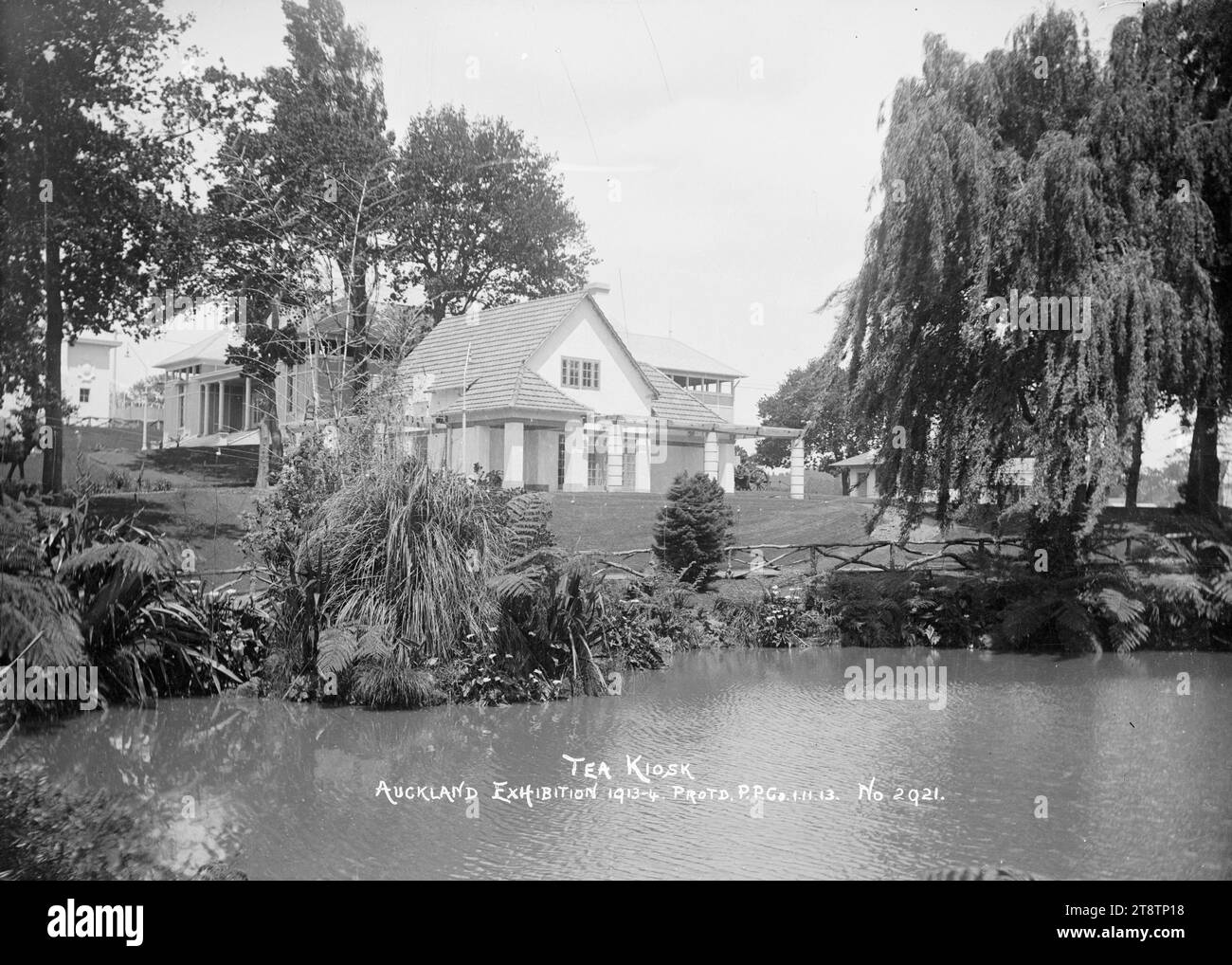 New zealand toi toi plants Black and White Stock Photos & Images - Alamy