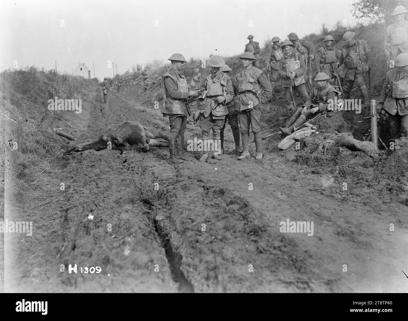 New Zealand soldiers at the front near Le Quesnoy, Members of the New ...