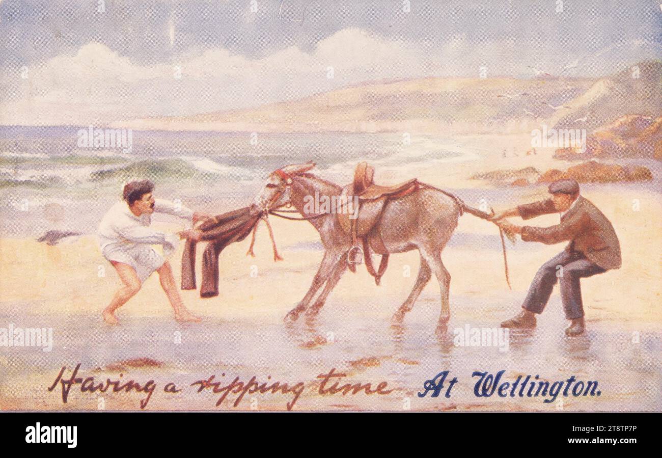 Postcard. Having a ripping time in Wellington, New Zealand. ca 1910 ...