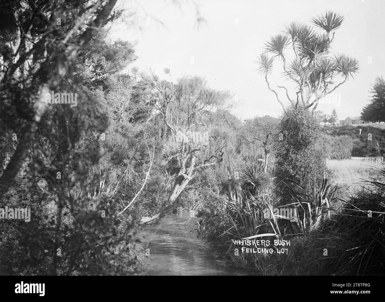 Stream runs Black and White Stock Photos & Images - Alamy