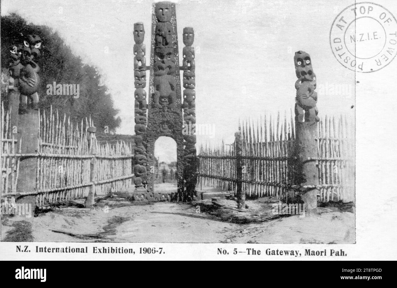 Postcard. New Zealand International Exhibition, 1906-7. No. 5 - The ...