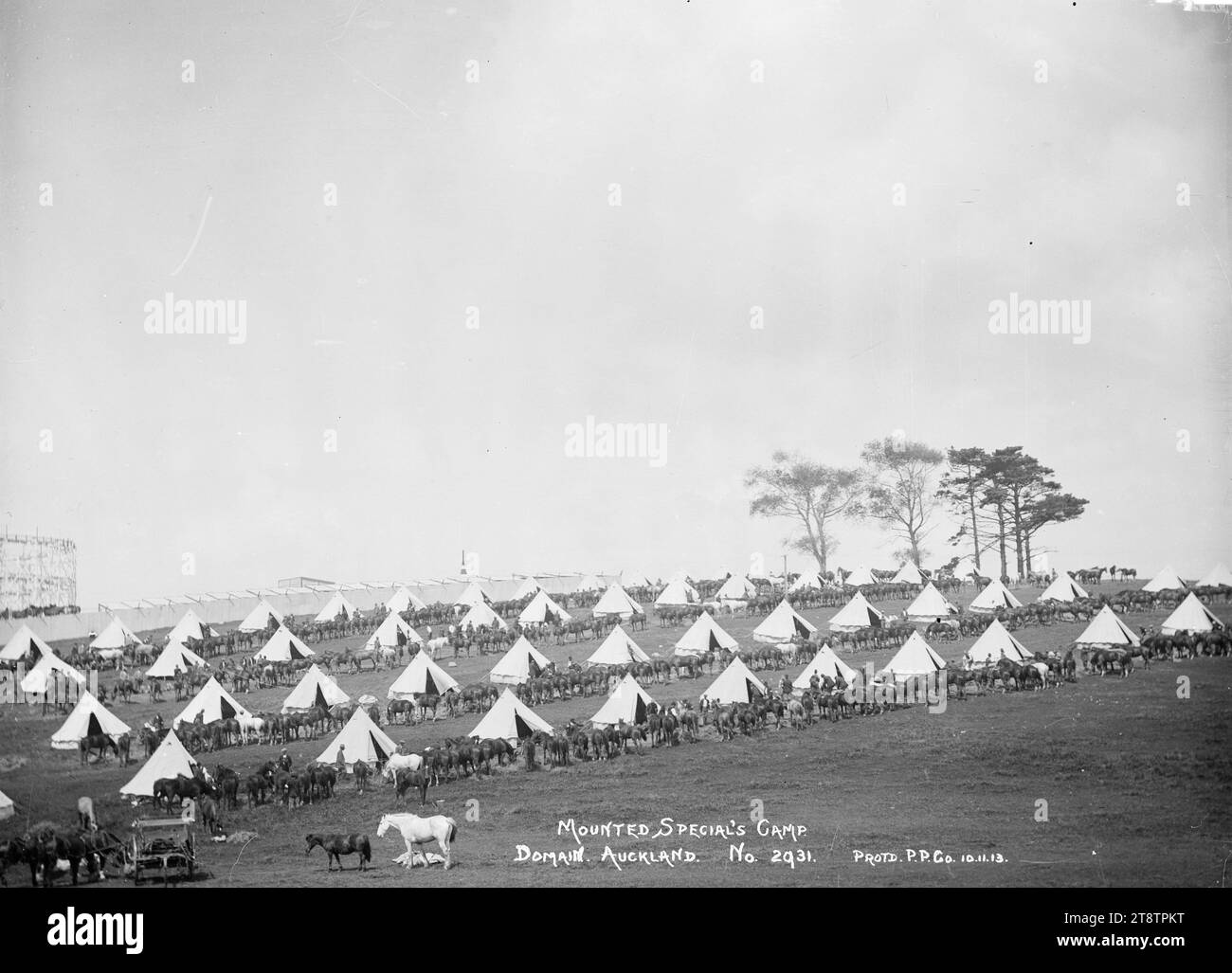 View of the Mounted Special's camp in the Auckland, New Zealand Domain ...