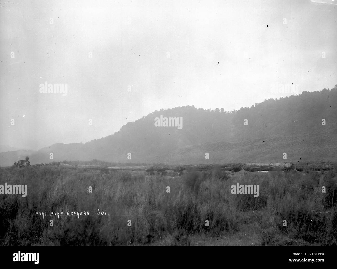 Logging train laden with logs, the "Puke Puke Express", near Pukepuke ...