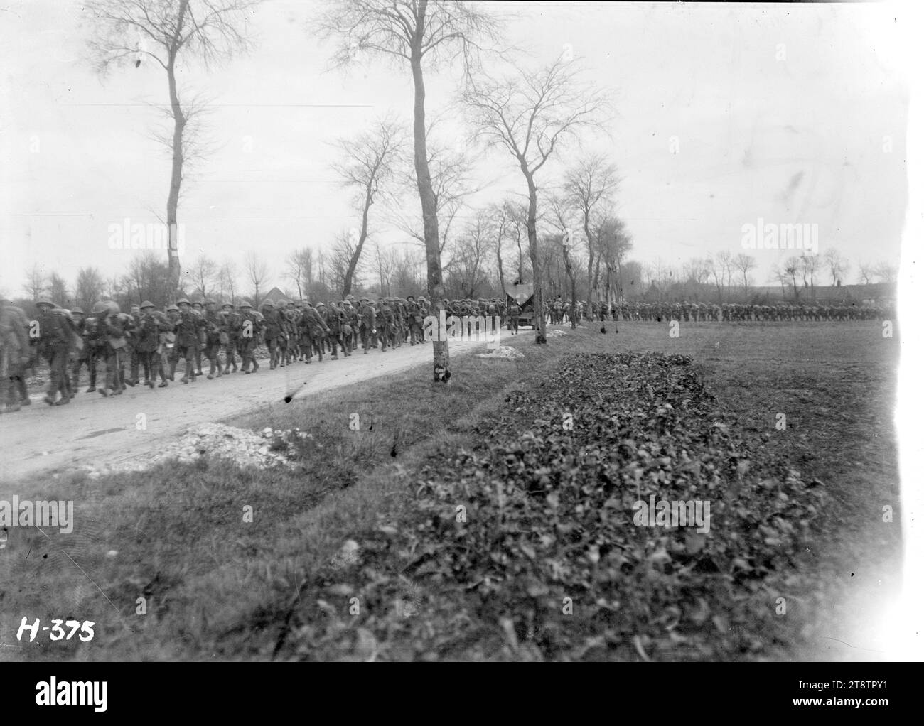 New zealand regiment marching hi-res stock photography and images - Alamy
