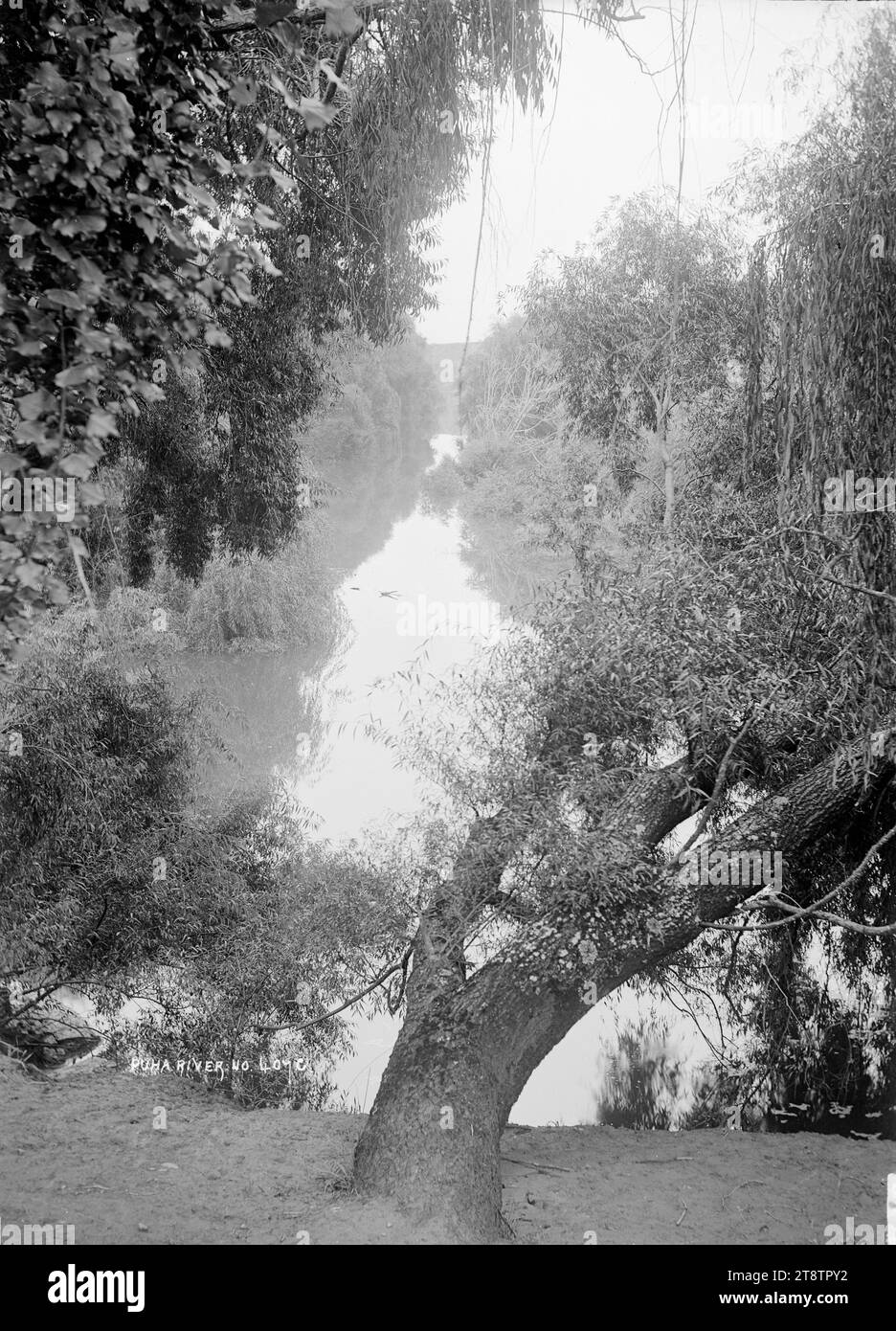 Puha river hi-res stock photography and images - Alamy