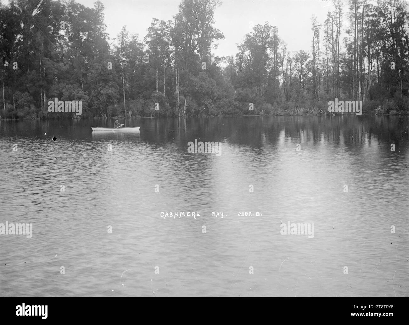 Cashmere Bay, Lake Brunner, Westland, View of a man in a rowing boat at ...