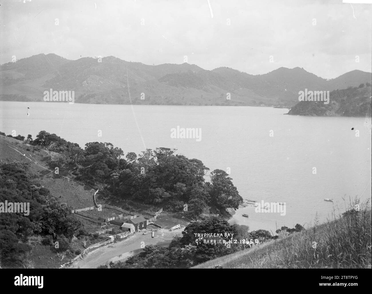 Tryphena point hi-res stock photography and images - Alamy
